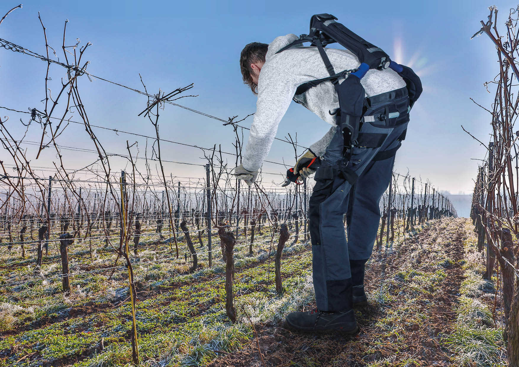 An ambitious partnership with burgundy’s MSA and AGRONOV, the ...